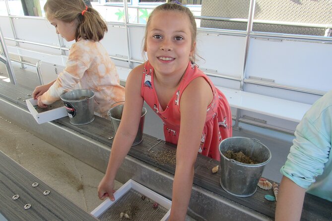 Shark Teeth and Shells, Dolphin and Shelling Tour Boat Clearwater Beach - The Itinerary in Detail