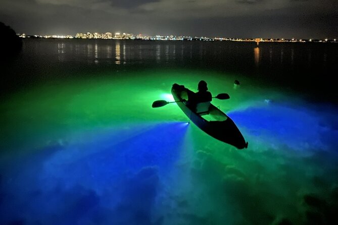 Sharkey's Glass Bottom Fish Feeding LED Night Tour in Sarasota - What Travelers Love About This Tour