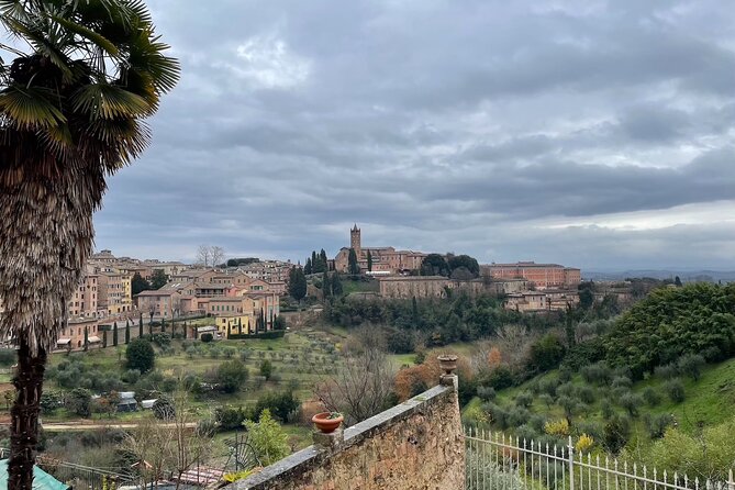 Siena Guided Tour With Cathedral Review - Highlights of the Siena Guided Tour