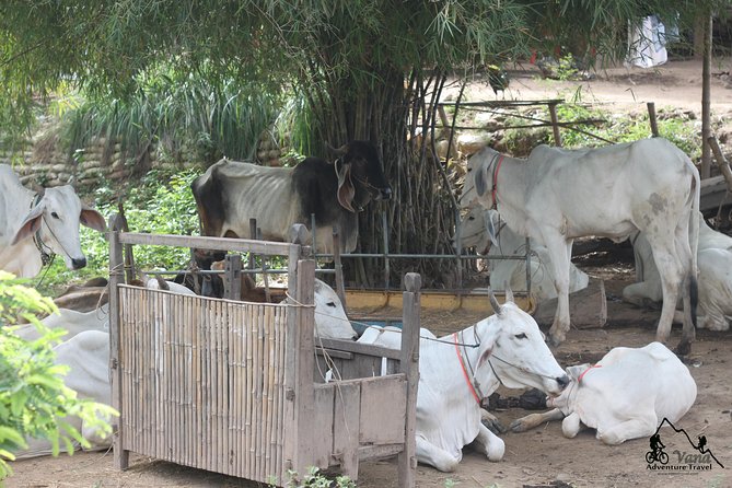Silk Island & countryside of Phnom Penh by Tuk Tuk - FAQ