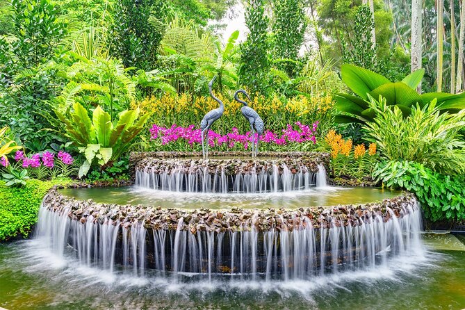 Singapore: National Orchid Garden Admission Ticket - Authentic Visitor Insights