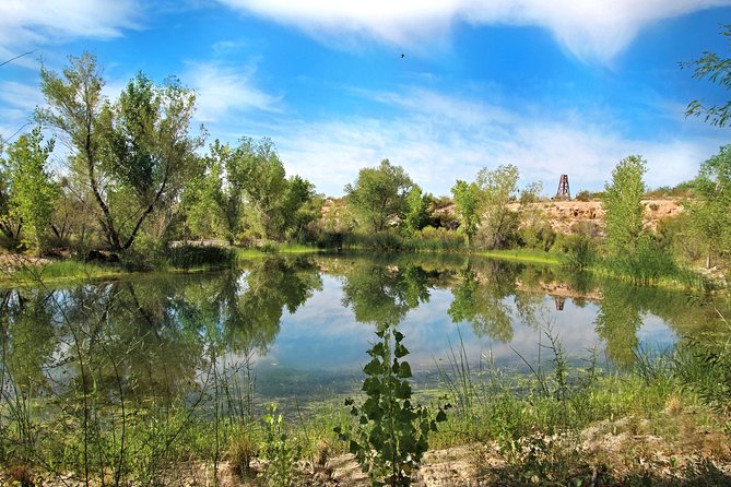 Skip the Line: Springs Preserve in Las Vegas Admission Ticket - The Main Attractions and What to Expect