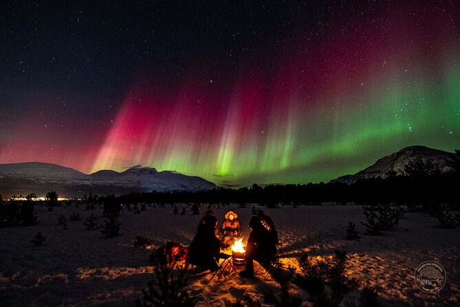 Small Group 4x4 Van Journey in Search of the Northern Lights - Inclusions