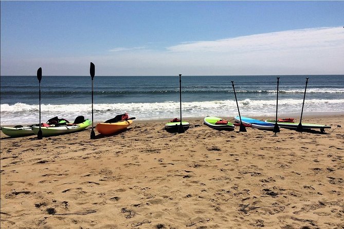 Small Group Dolphin Kayak Eco-Tour - FAQ