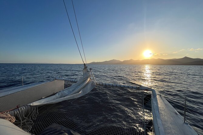 Small Group Dolphin Sunset Tour on Electric Catamaran Lanzarote - The Sum Up