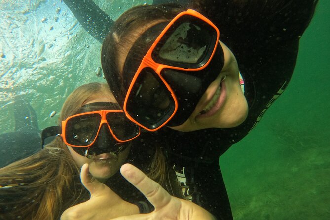 Small Group Manatee Swim Tour With In Water Guide - Exploring the Experience in Detail