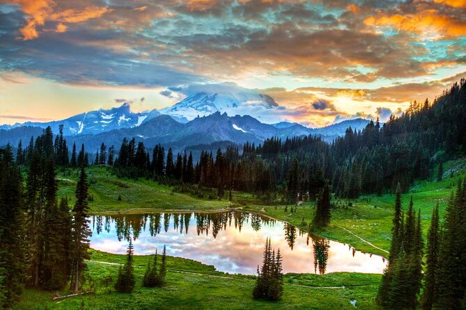 Small Group Mt Rainier National Park Day Tour from Seattle 2CanGo - The Experience in Practice