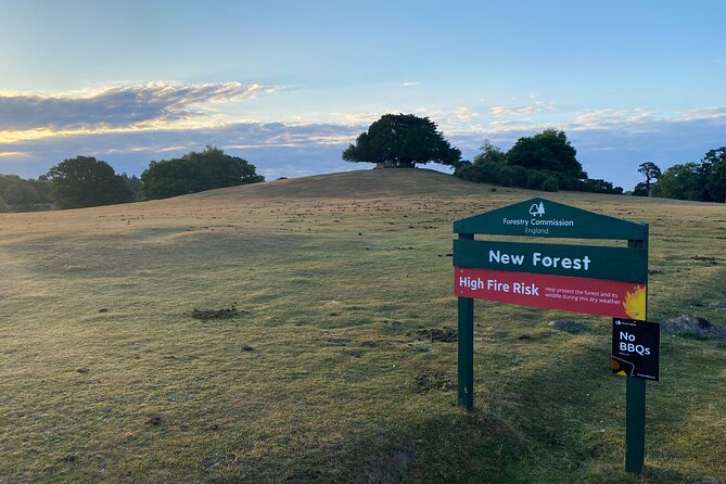 Small-Group New Forest Discovery Walk From Lyndhurst - Fitness and Accessibility