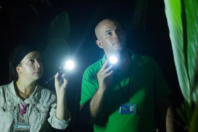 Small-Group Tortuguero National Park Night Walk in Costa Rica - Meeting and Pickup Information