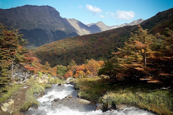 Small Group Trekking to Vinciguerra Glacier and Témpanos Lagoon - Health and Safety Information