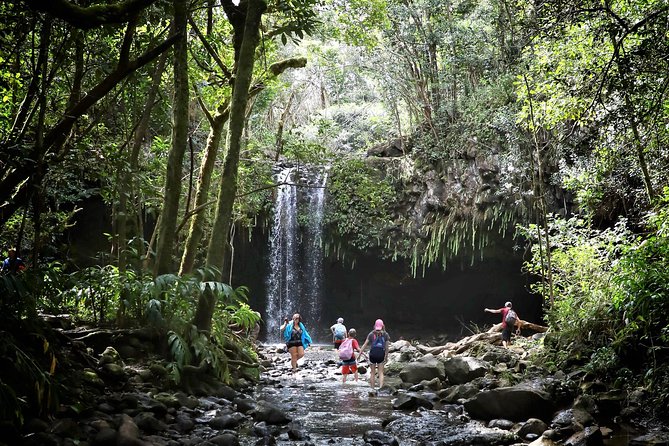 Small Group Waterfall and Rainforest Hiking Adventure on Maui - Itinerary Breakdown