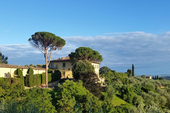 Small Group Wine Tasting in Tuscany With Vineyard Visit - Winemaking Process Explained
