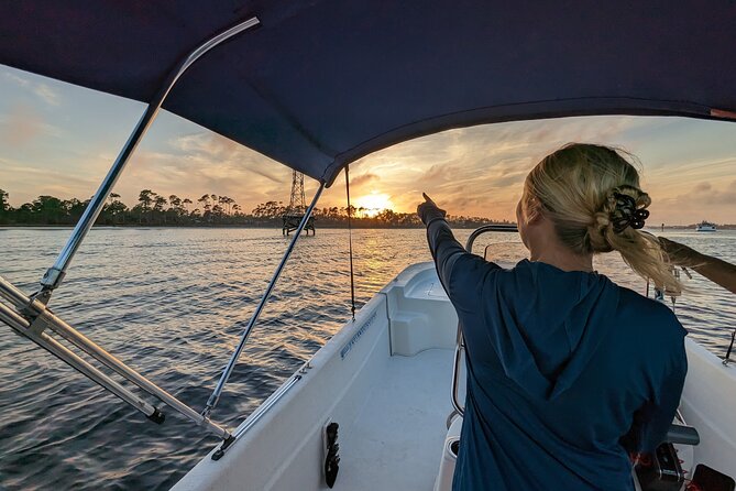 Snorkeling, Dolphin and Wildlife Sightings at St. Andrews Bay - Thrilling Dolphin Encounters