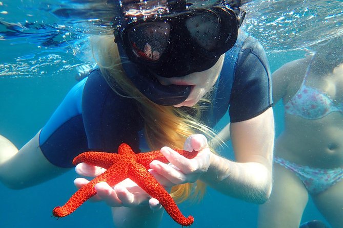 Snorkeling Excursion in Tabarca Island - Preparing for the Snorkeling Adventure