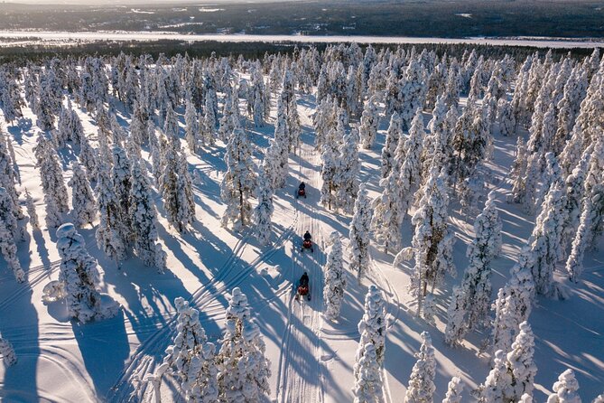 Snowmobiles and Huskies - Powering Through the Snow on Snowmobiles