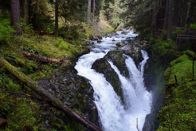 Sol Duc, Lake Crescent, and Hurricane Ridge Guided Tour in Olympic National Park - Inclusions and Logistics