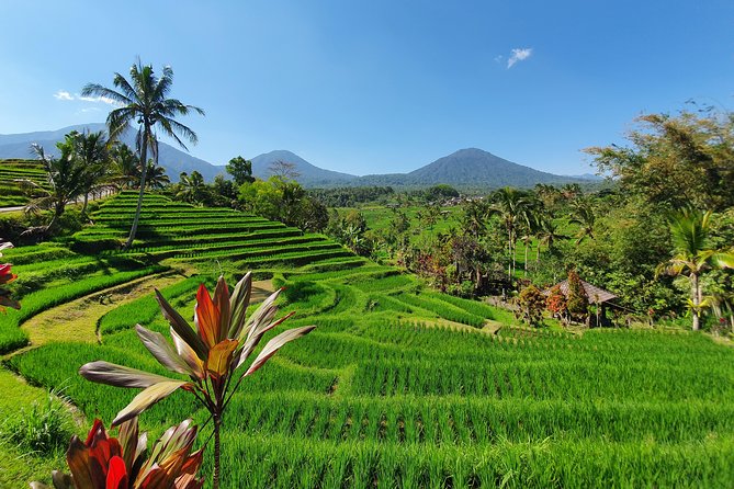 Solo or Group Tour - 10 Hours, 5 Persons Max - Practical Considerations