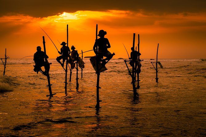 Southern Sri Lanka Sightseeing Day Trip From Colombo & Negombo - Practical Details and Insights