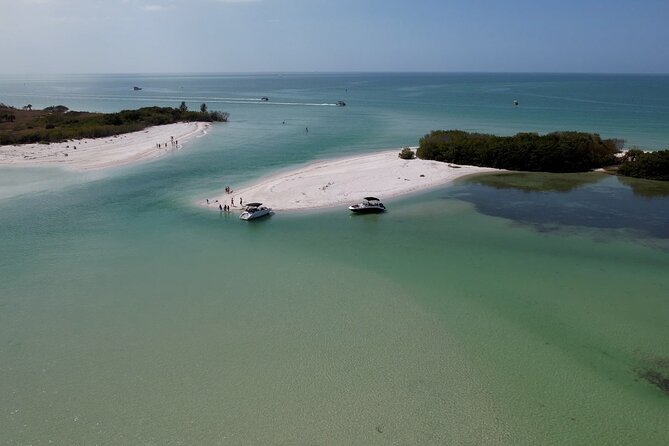 St. Pete Dolphin Watching and Shelling Adventure - Discover the Wonders of Shell Collecting