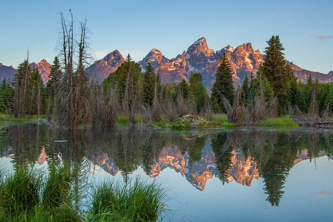 Sunrise 4-Hour Grand Teton Wildlife Adventure - Wildlife Spotting and Scenic Highlights
