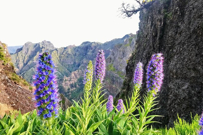 Sunrise Guided Hike PR1 Pico Do Areeiro Pico Ruivo Small Group - Experience Highlights