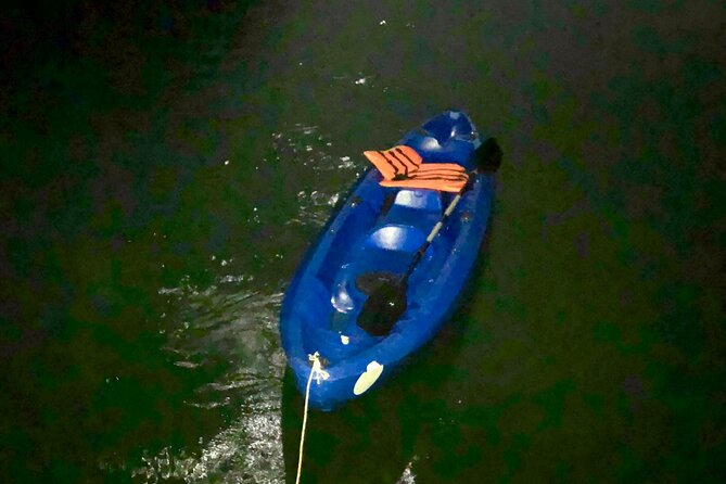 Sunset & Bioluminescent Plankton Kayaking Lan Ha bay - Final Thoughts
