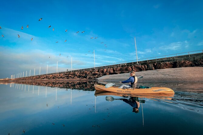 Sunset Kayak Tour in Santa Barbara Harbor (2 Hours) - Who Should Book This Tour?