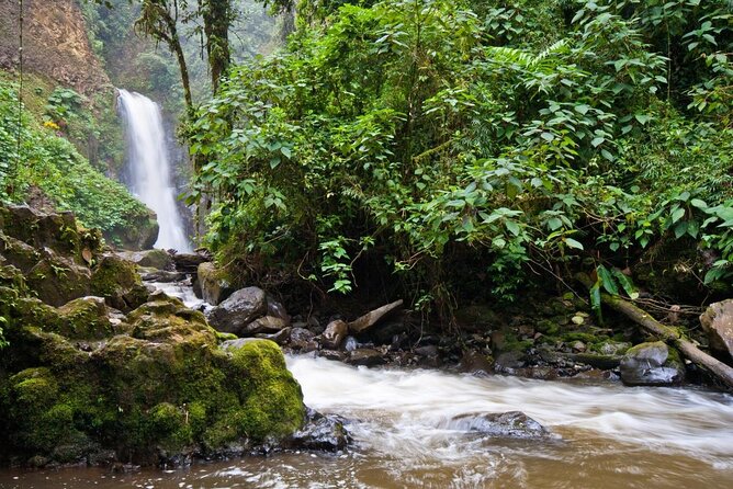 Super Combo Tour: Waterfalls Gardens + Coffee Tour + Poás Volcano - Itinerary Highlights