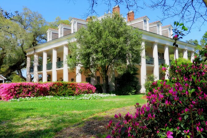 Swamp Boat Ride and Oak Alley Plantation Tour from New Orleans - Why Travelers Love This Tour
