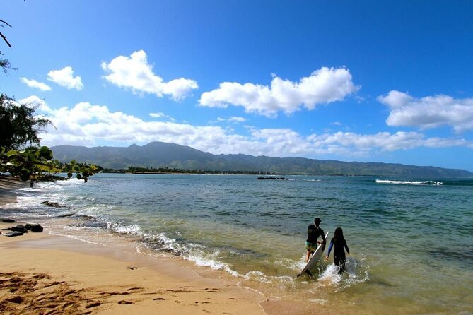 Swim with Sharks Cage-Free from Oahu - The Value of This Shark Encounter