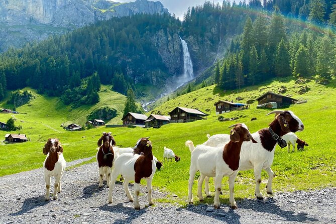 Switzerland Private Tour Review: Hidden Gems Explored - Inclusions and Logistics