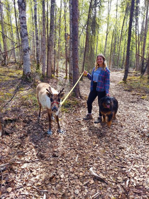 Talkeetna: The Reindeer Grove Homestead Tour and Forage - Exploring Talkeetna’s Reindeer Grove Homestead Tour