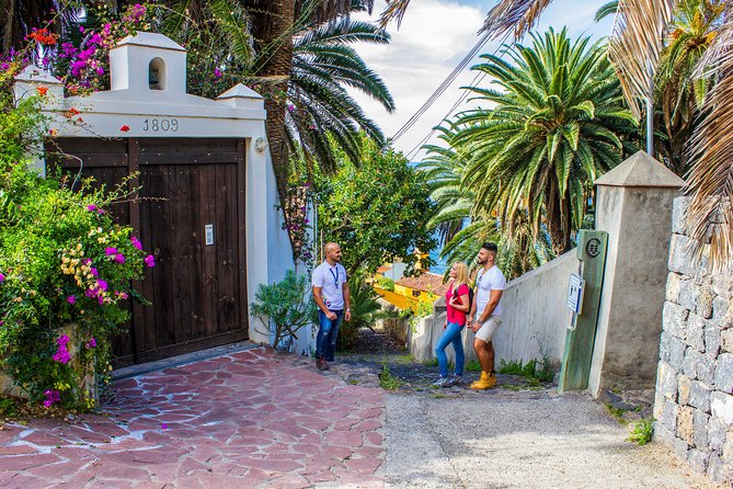 Tenerife North Private Tour: Through Villages and Ports - Logistics and Transportation