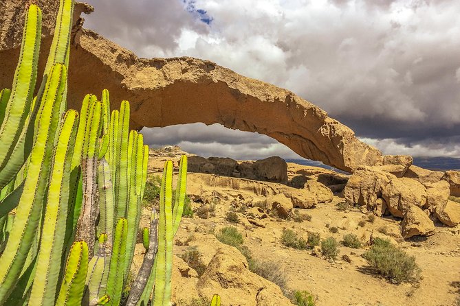 Tenerife South Private Tour: Secrets of the Volcanoes - Discovering Coastal Towns