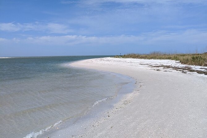 Three Hour Shelling Cruise to Shell Key Preserve From Johns Pass - Whats Included