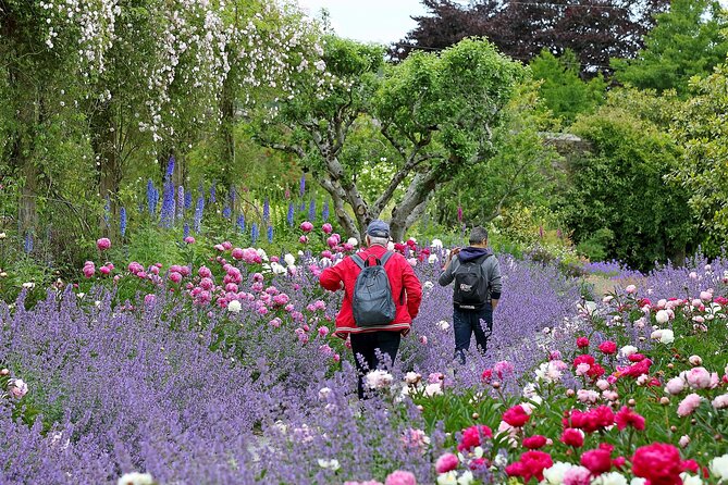 Tickets to Explore Irelands Global Garden - Accessibility