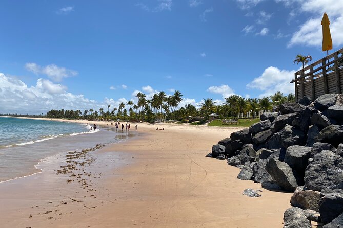 Tour on Forte and Guarajuba Beaches, Leaving Salvador-Bahia - Inclusions