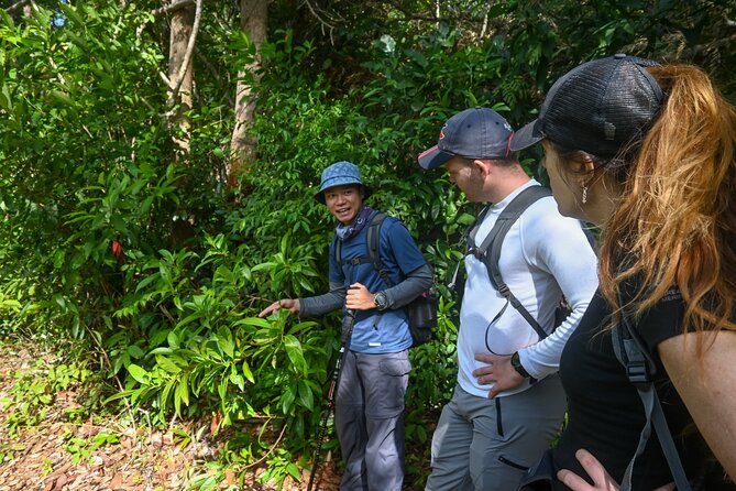 Trekking Tien Son Dinh Phu Quoc - What Makes This Tour Stand Out?