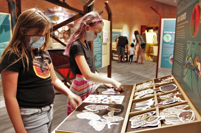 Tucson: Flandrau Science Center Entry Ticket - Location and Access