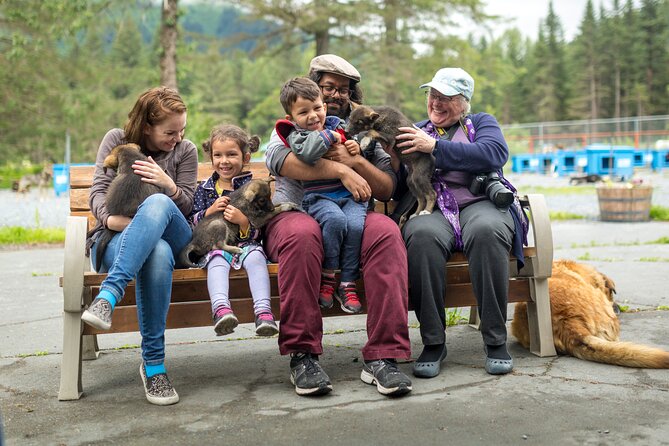 Turning Heads Kennel Dogsledding Experience & Tour - Who Will Love This Tour?