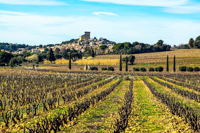Two Intensive Days Discover Exceptional Wines of the Rhône Valley - Culinary Delights: Three-Course Lunch Experience