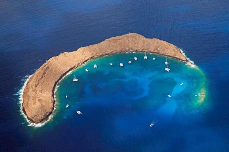 Two Stop Deluxe Molokini Snorkel - What Travelers Are Saying