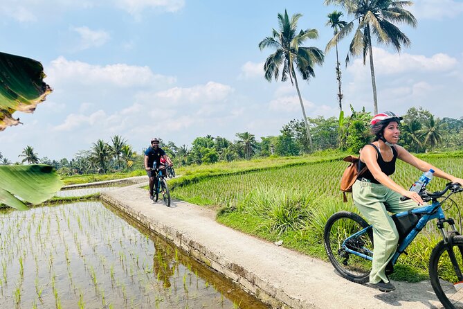 Ubud eBikes Tour to Tegallalang Rice Terrace - What’s Included and What to Expect