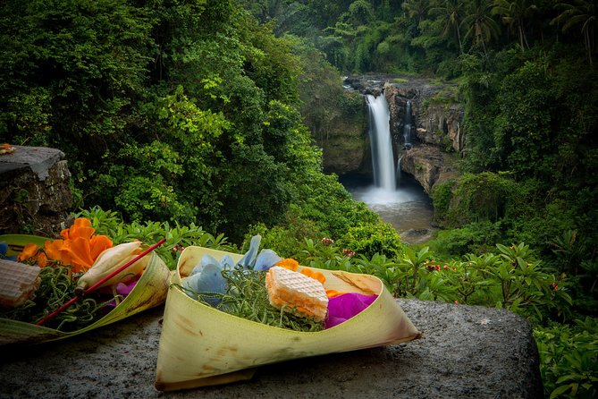 Ubud Tour with Swing, Temple, Monkey Forest, and Waterfall - Who Is This Tour Best For?