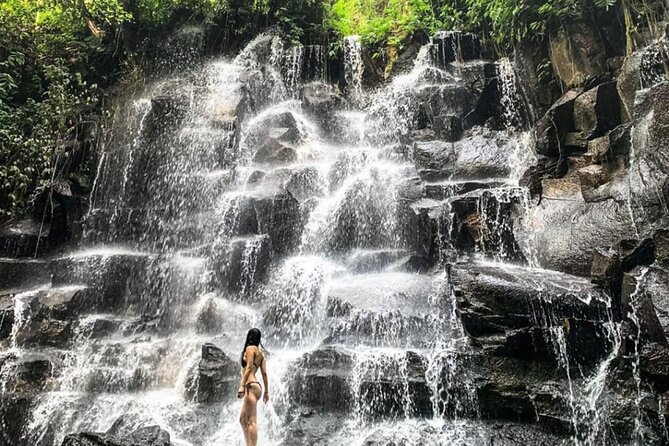 Ubud Waterfalls, Rice Terrace & Jungle Swing - Private Tour - Exploring Bali’s Natural Wonders: The Itinerary in Depth