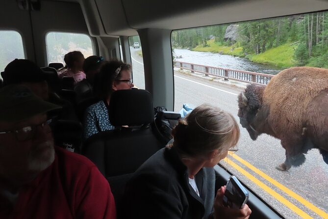 Upper Loop Tour and Lamar Valley From West Yellowstone With Lunch - Tour Logistics and Comfort Features