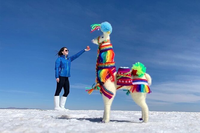 Uyuni Salt 1 Day Tour With Guide in English + Lunch and Sunset - Meeting and Pickup