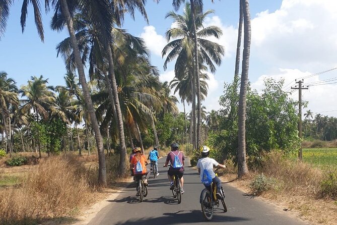 Varca Coastal E-Bike Tour: Scenic Beachside Adventure - Why this tour offers great value