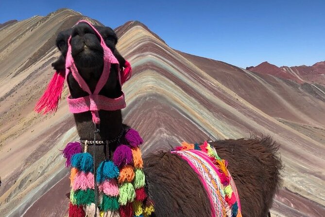 Vinicunca Rainbow Mountain Tour Including Breakfast & Lunch From Cusco - Itinerary and Inclusions