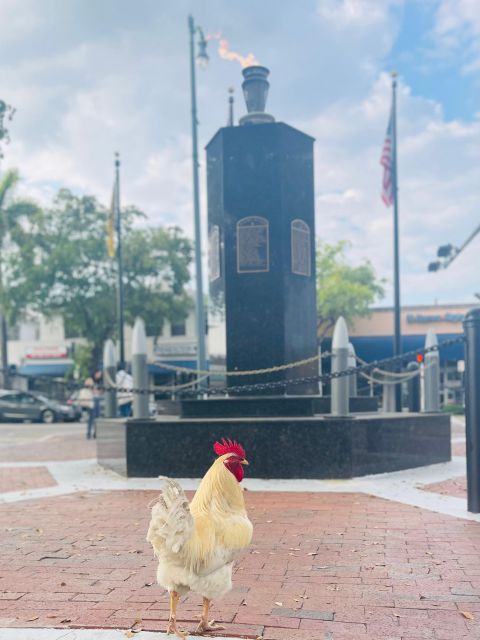 VIP Walking Tour of Little Havana - Whats Included & Whats Not